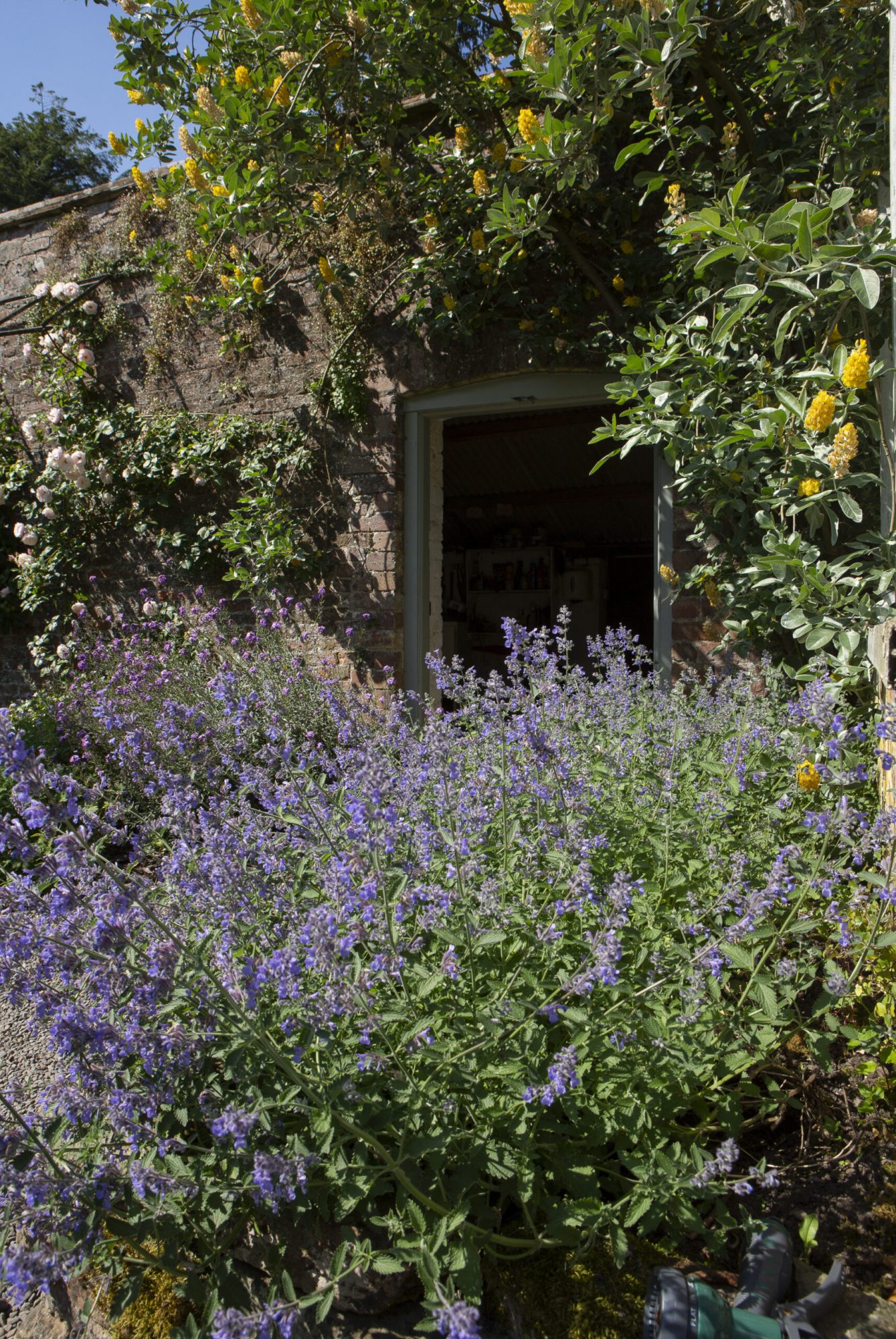 Glenae Gardens - Fiona Willoughby Photography